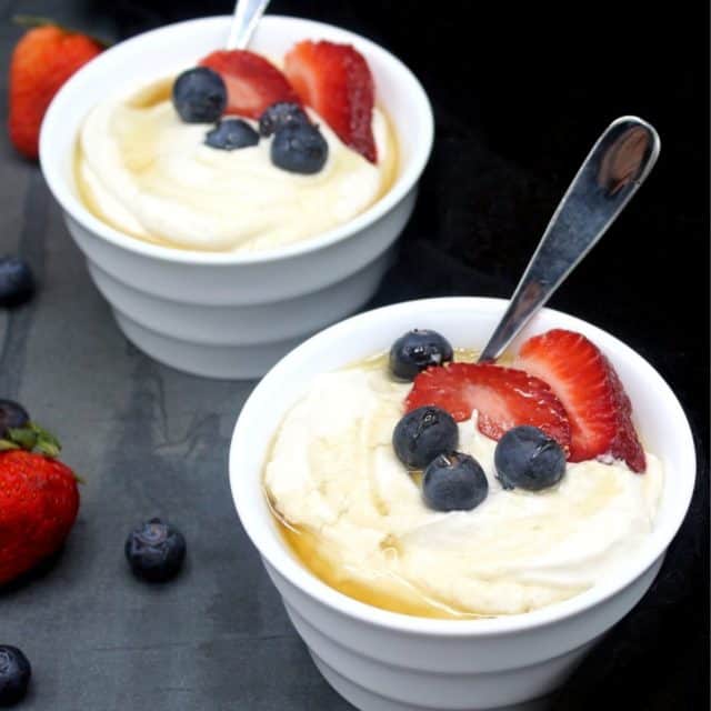 Vegan Instant Pot Yogurt - Holy Cow Vegan