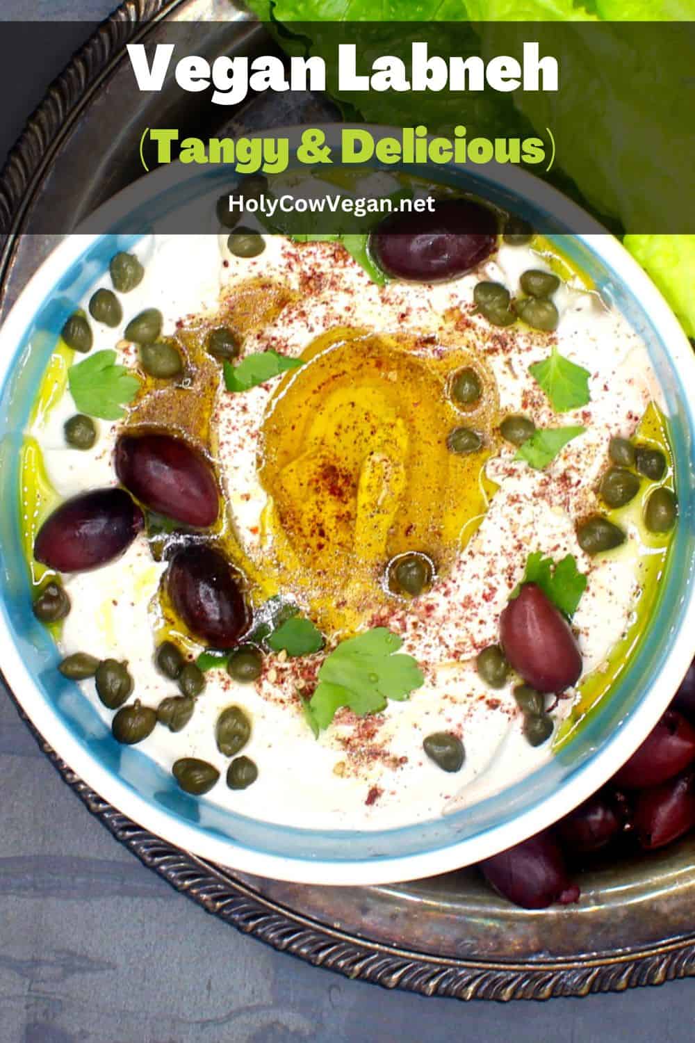 Vegan Labneh (Healthy and Delicious) - Holy Cow Vegan