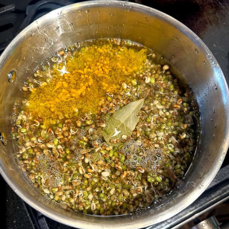 Usal Recipe - Holy Cow! Vegan Recipes
