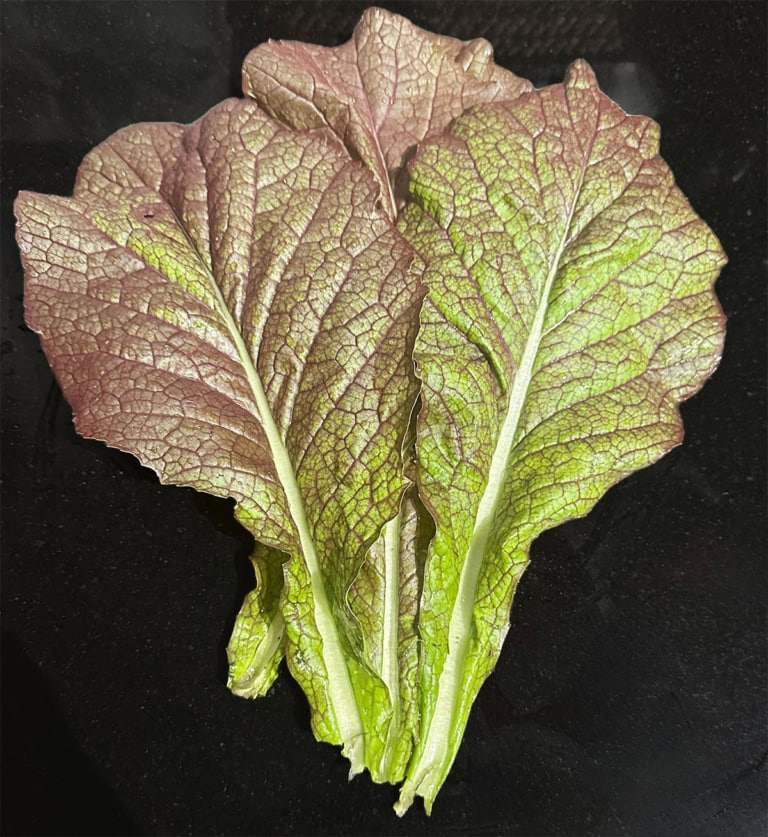 Sautéed Mustard Greens - Holy Cow Vegan