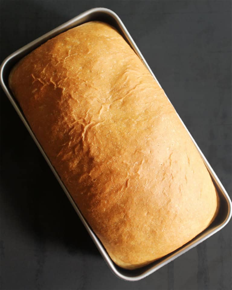 The Perfect Vegan Sandwich Bread - Holy Cow Vegan