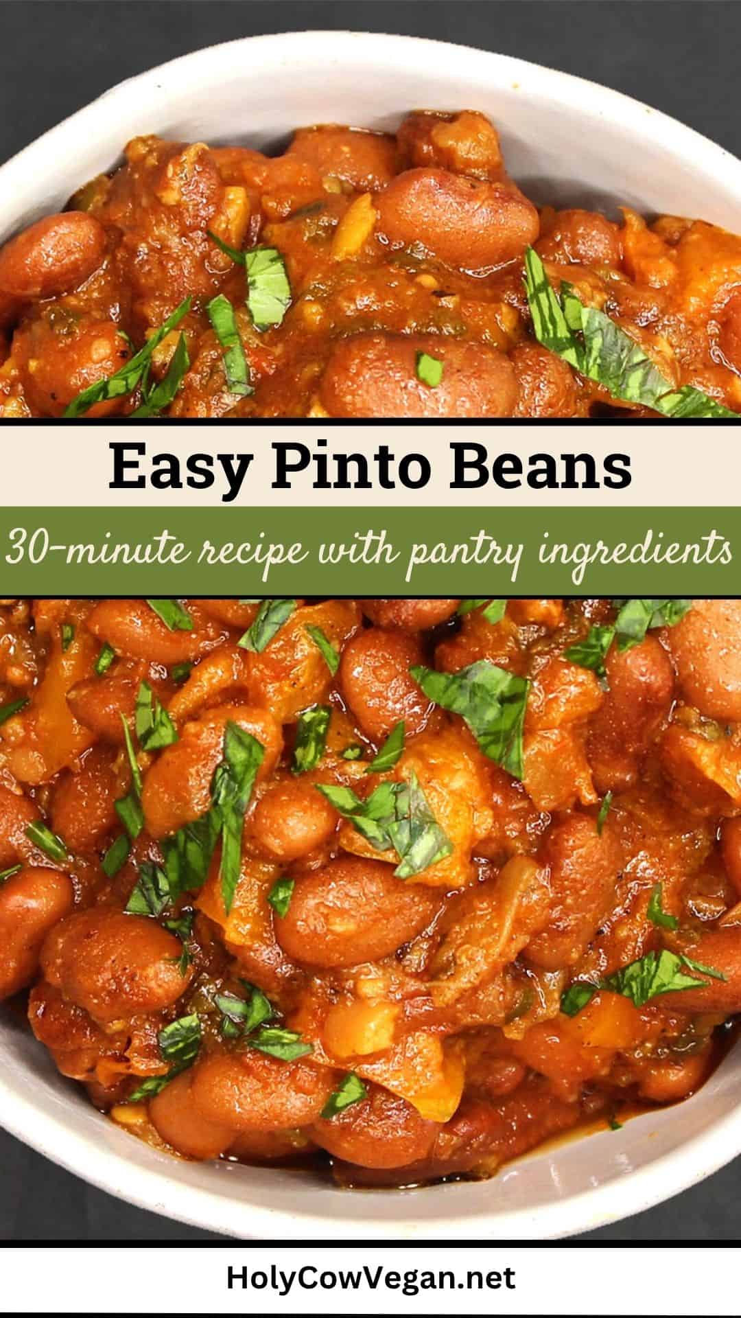 Easy Pinto Beans Recipe - Holy Cow Vegan